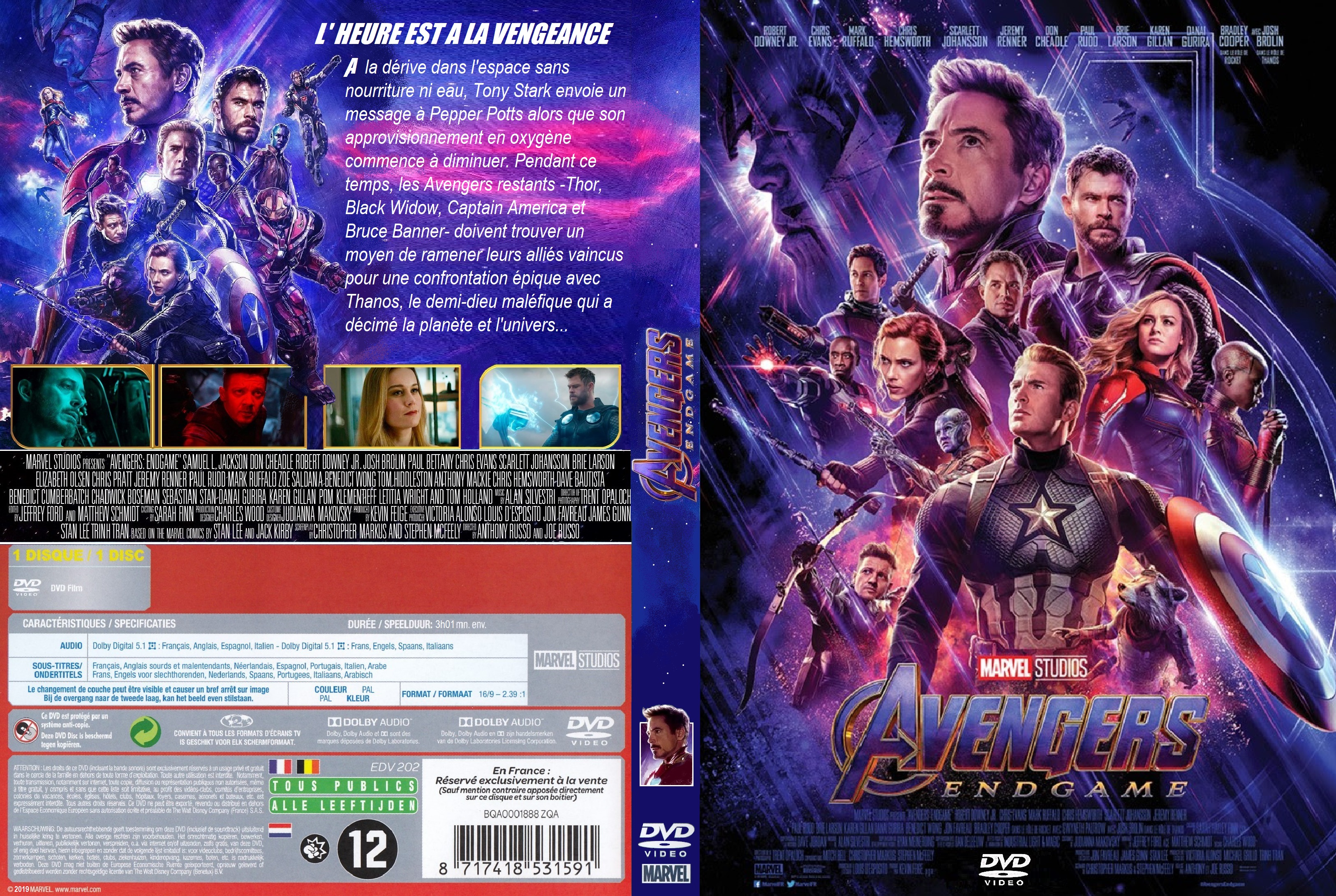 Jaquette DVD de Avengers Endgame custom - Cinéma Passion
